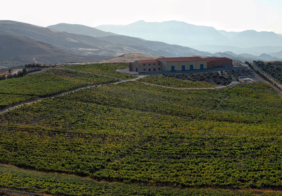 Κτήμα Μιχαλάκη - Michalakis Wines